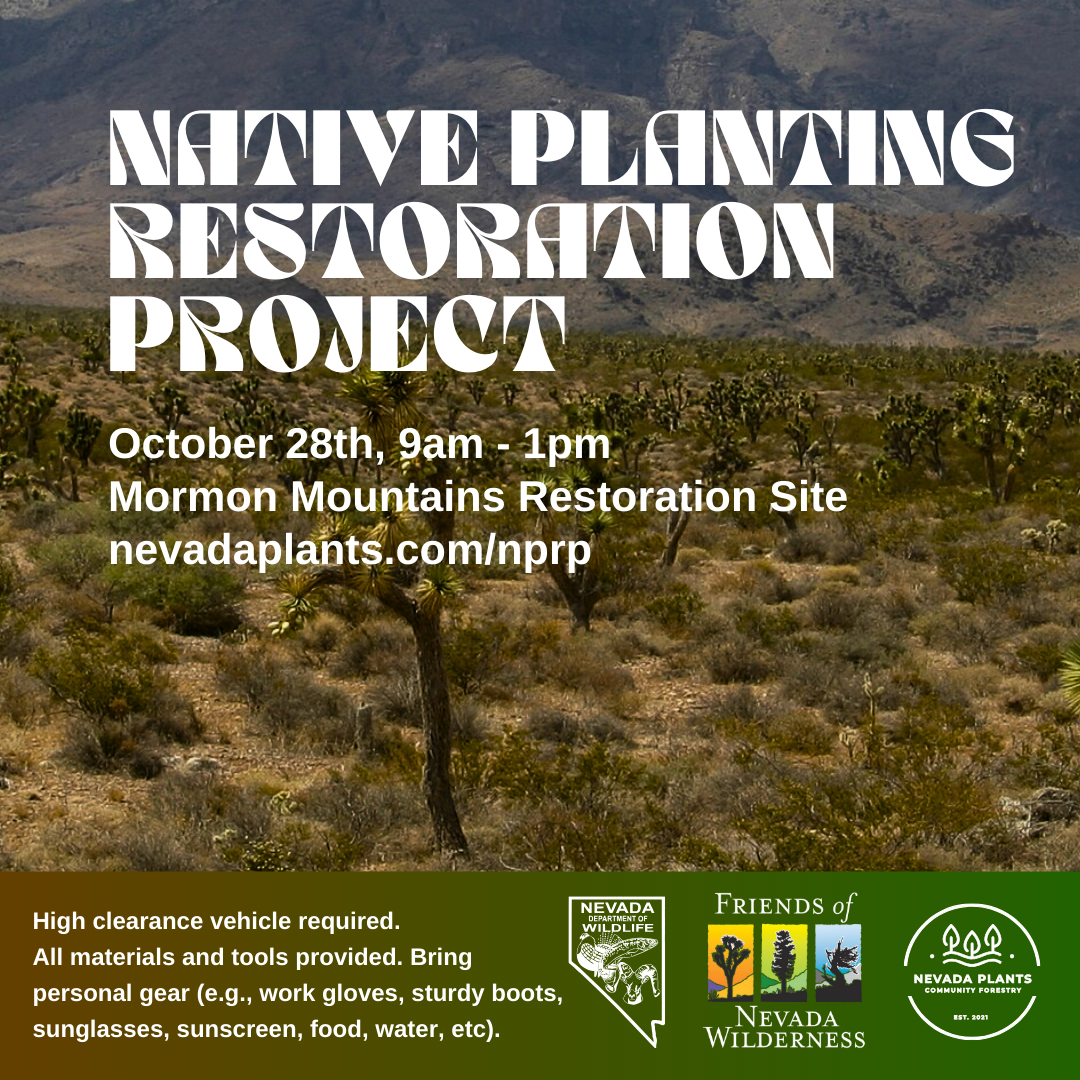 Native Planting Restoration Project - Nevada Plants
